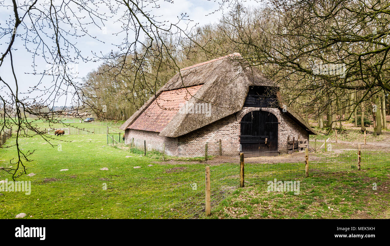 An old historic sheep shed Stock Photo - Alamy