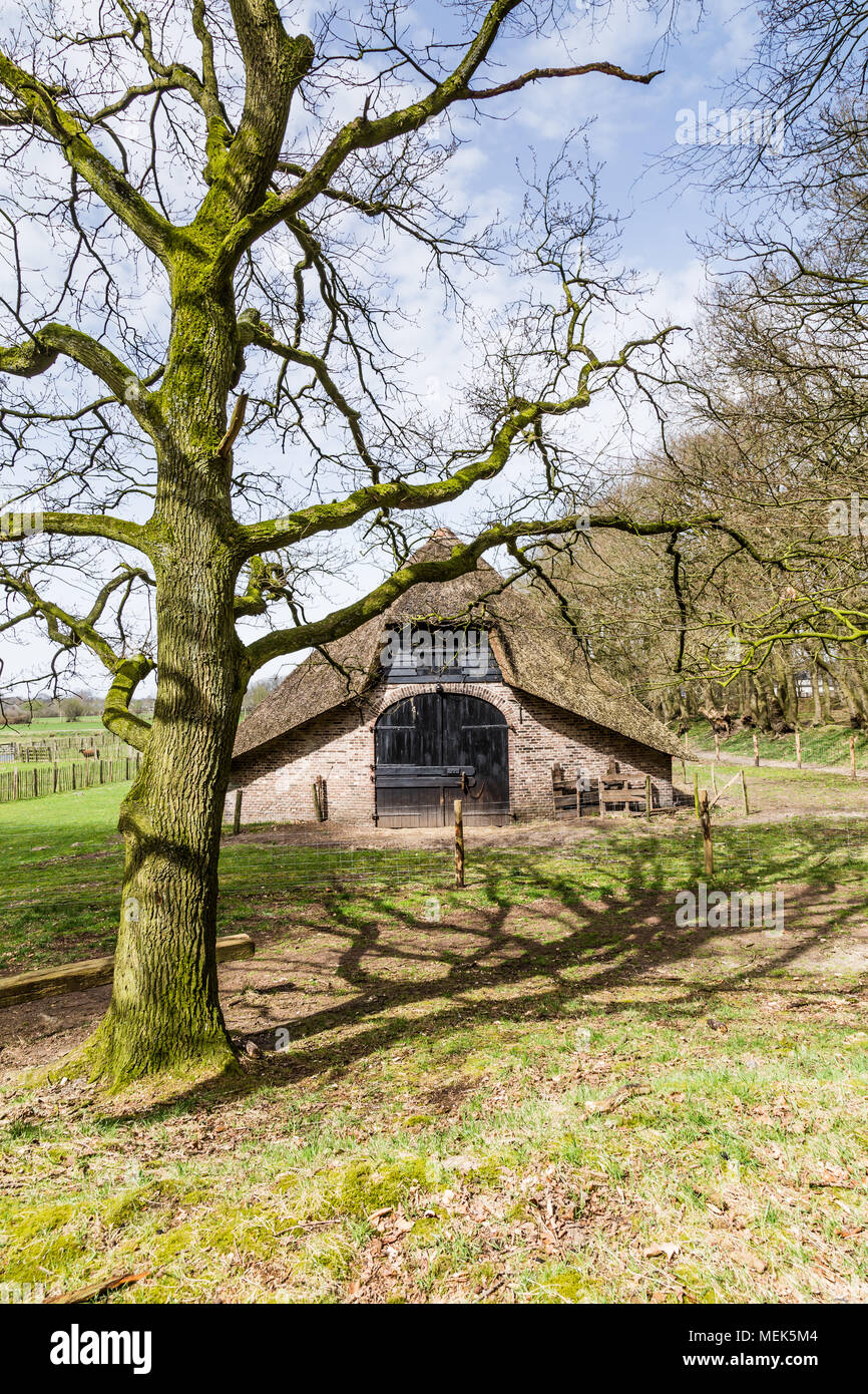 An old historic sheep shed Stock Photo - Alamy