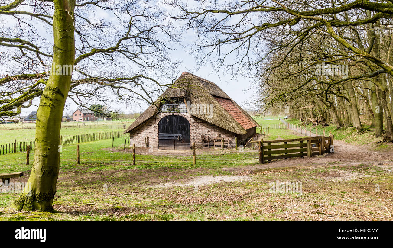 Sheep shed hi-res stock photography and images - Alamy