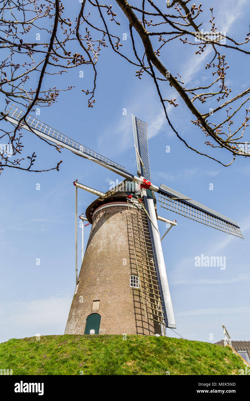Traditional Dutch Widnmill Stock Photo - Alamy