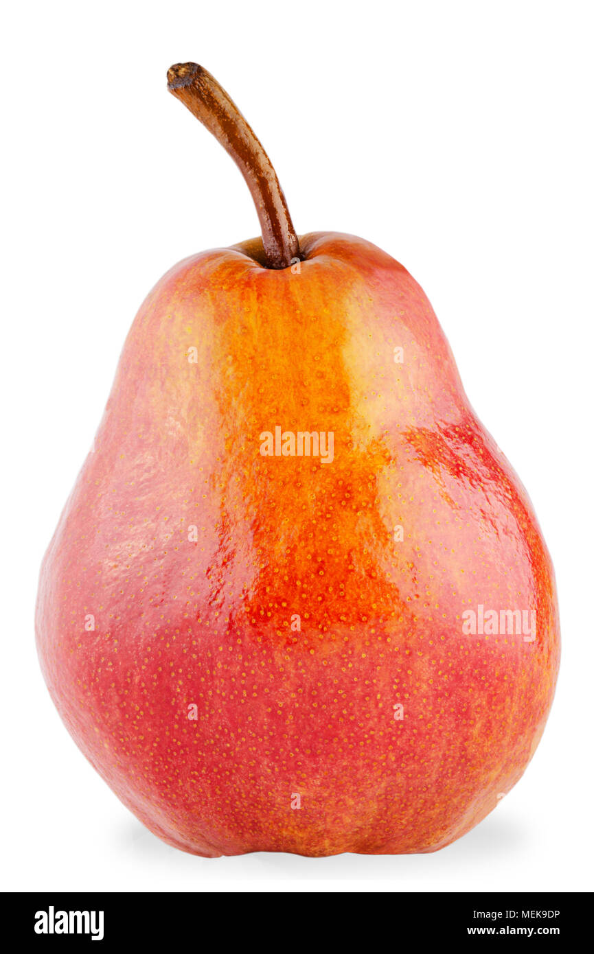 Isolated fruits. One whole pear fruit isolated on white background with ...