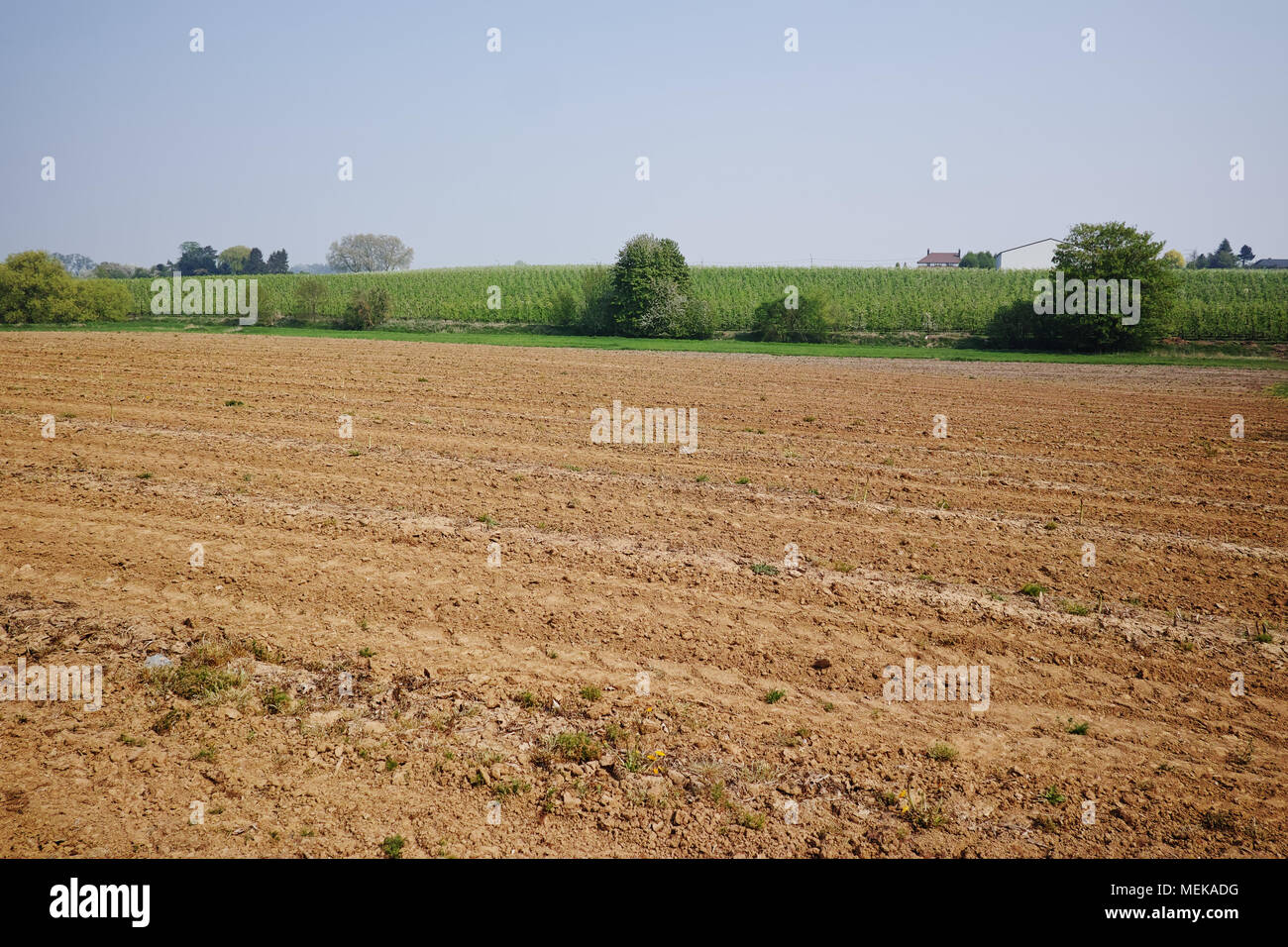 Spring fields countryside panorama landscape with fresh plowed field ...