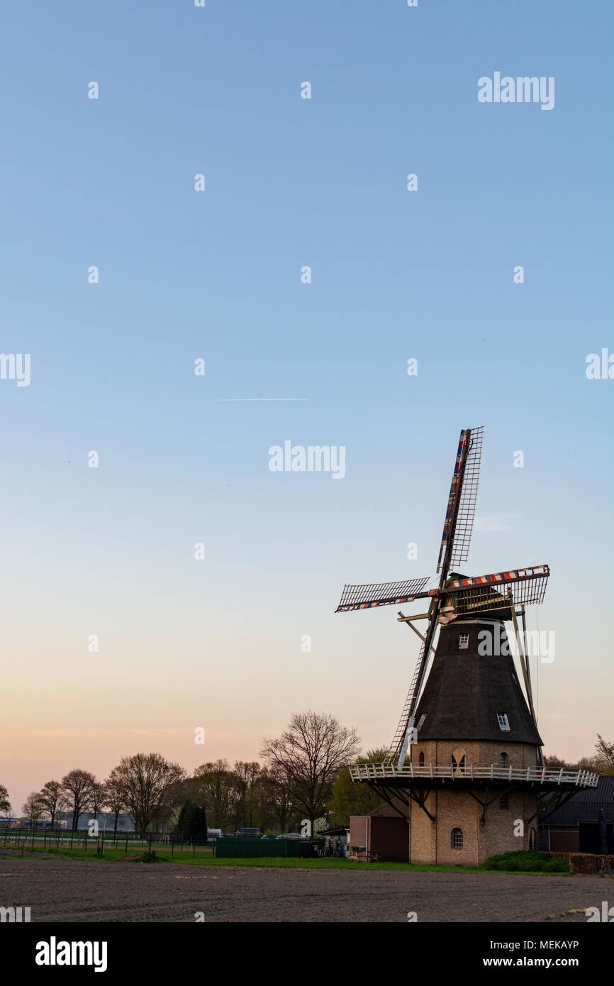 Landscape with traditional Dutch grain wind mill and blue sky on sunset ...