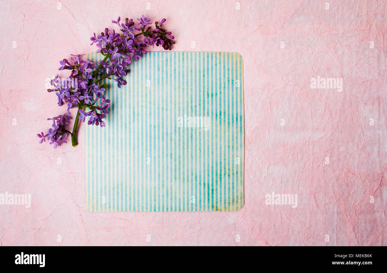 Lilac flowers arrangement with empty paper note card Stock Photo - Alamy