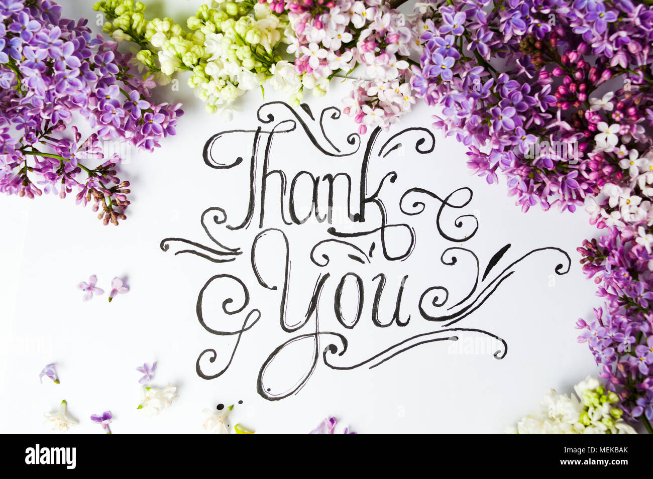 Thank you note with purple lilac spring flowers Stock Photo - Alamy