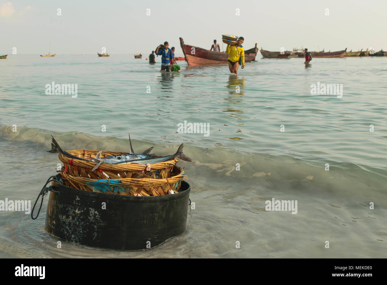 Occupation activities hi-res stock photography and images - Alamy