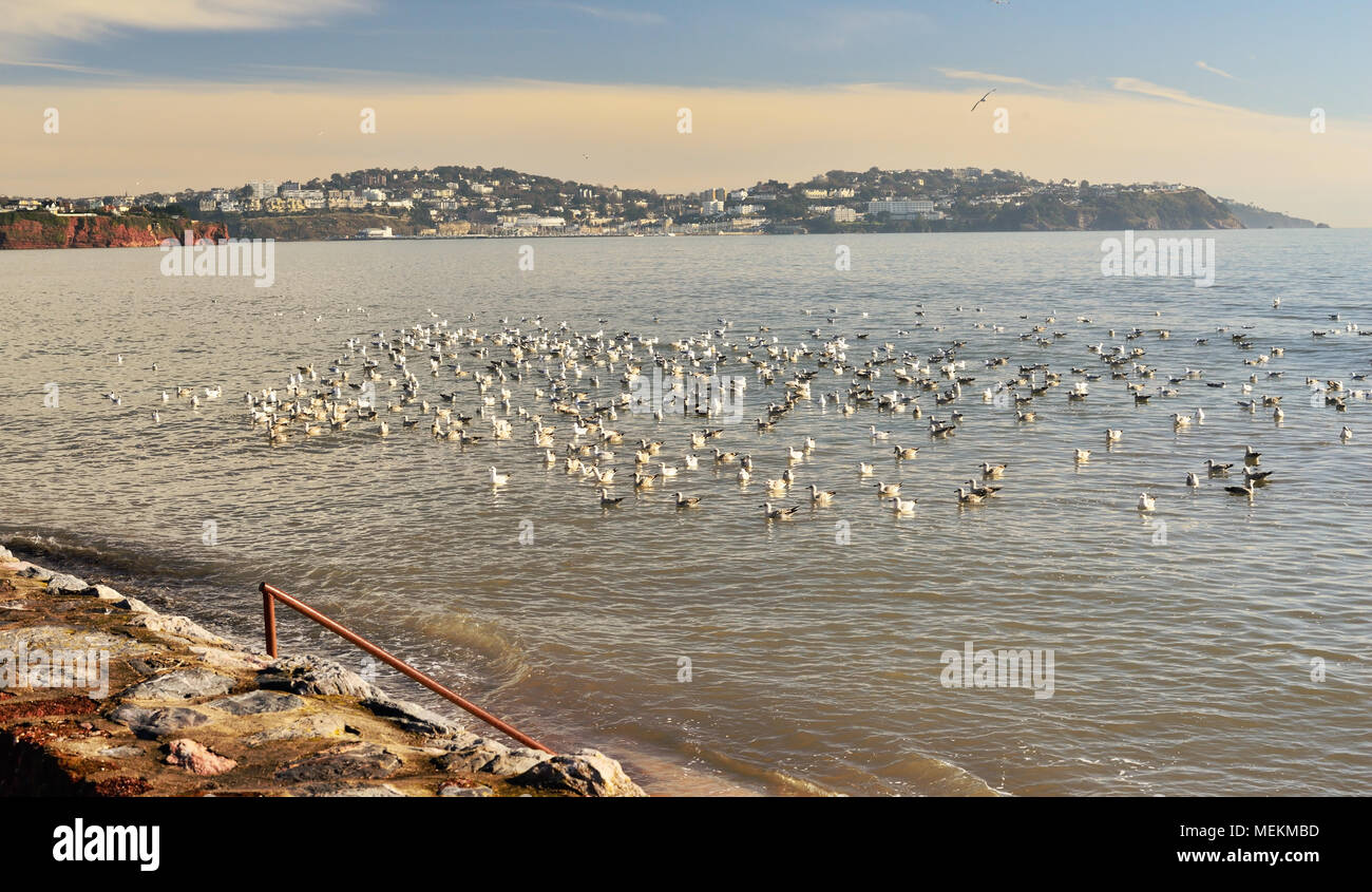 High gathering hi-res stock photography and images - Alamy