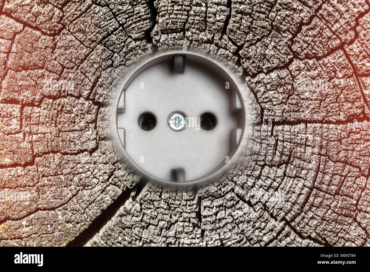 Power socket in wood, form of a circle Stock Photo - Alamy