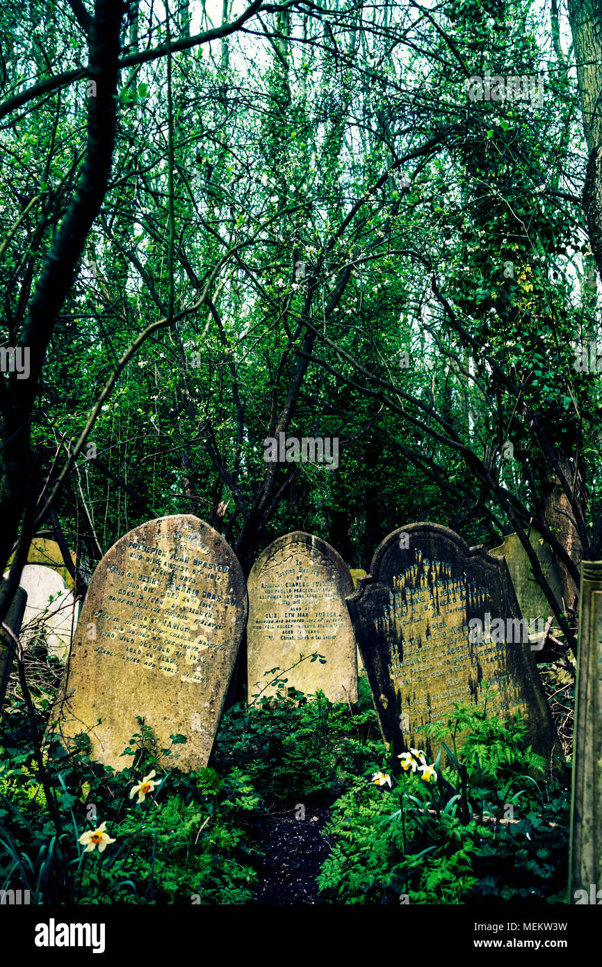 Scary graveyard hi-res stock photography and images - Alamy