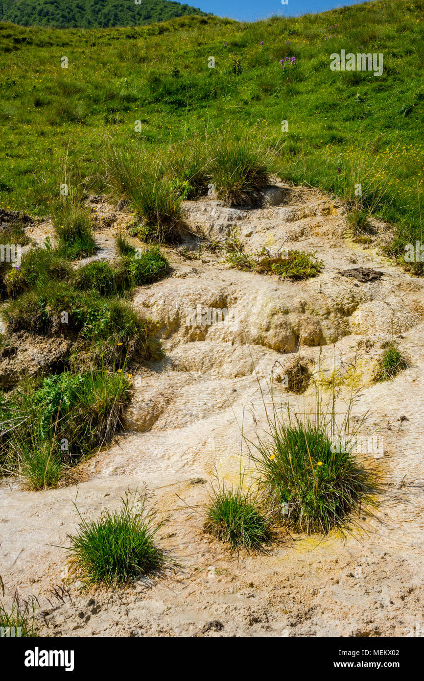 Natural mineral water spring in Truso valley, Georgia Stock Photo - Alamy