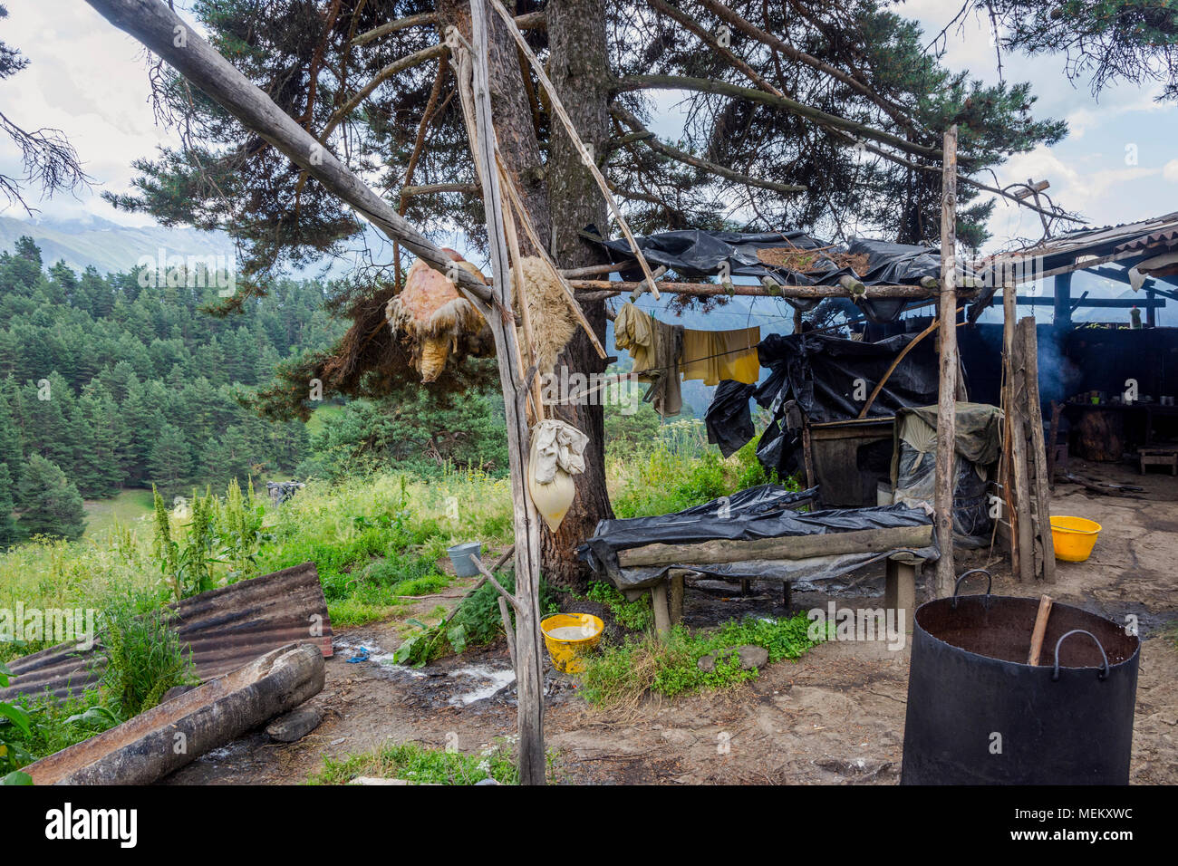 Shepherds shelter and cheese making in Tusheti national park, Georgia ...