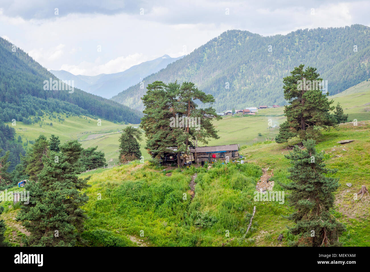 Shepherds shelter and cheese making in Tusheti national park, Georgia ...