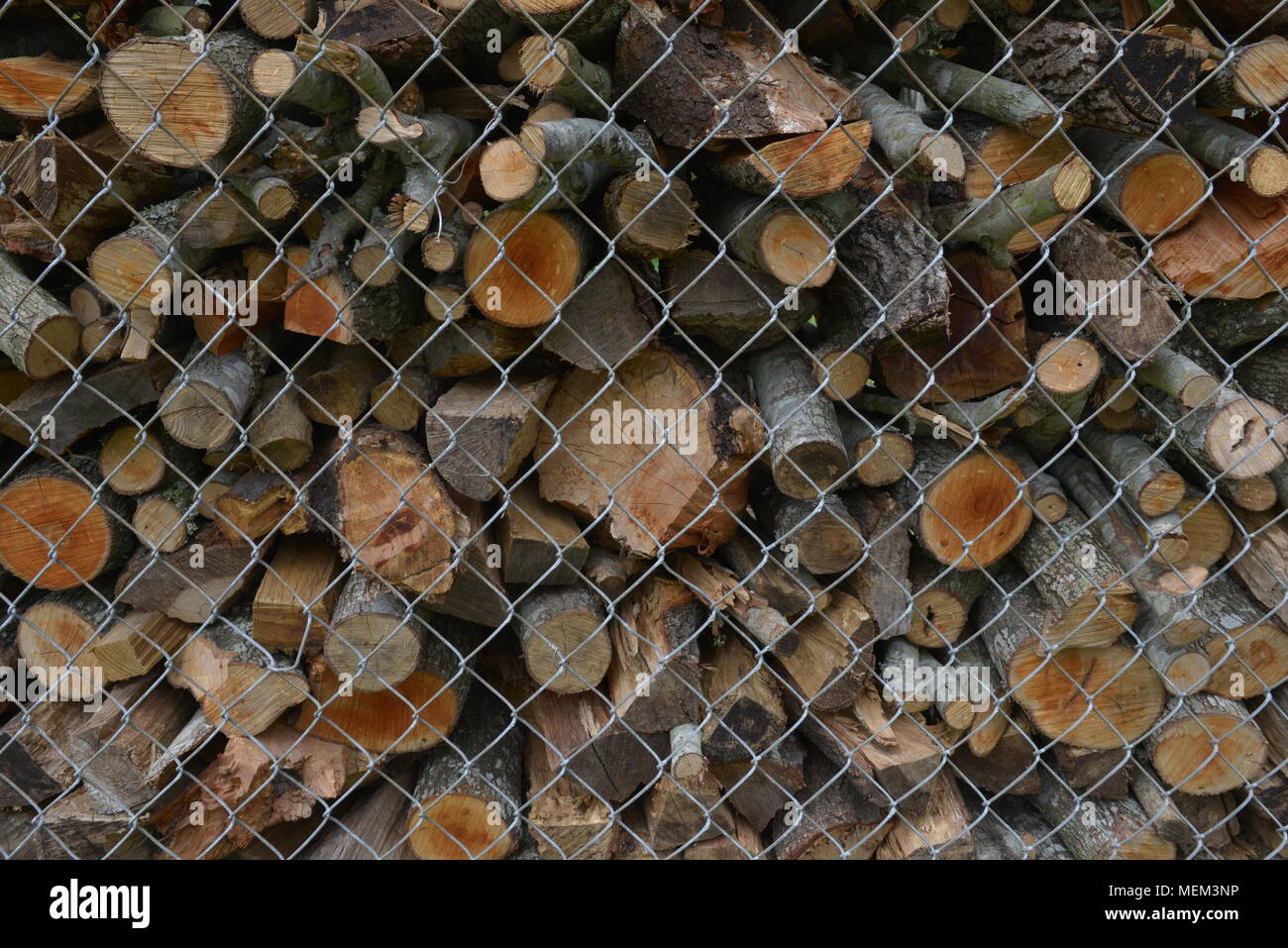 Wood logs stacked for firewood Stock Photo - Alamy