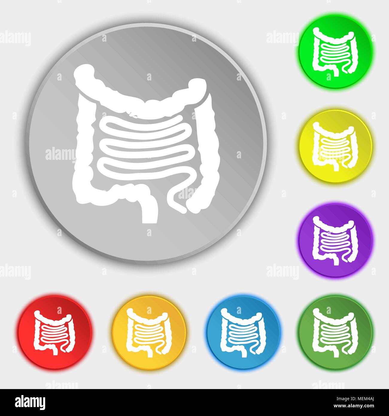 Intestines icon sign. Symbol on eight flat buttons. Vector illustration ...
