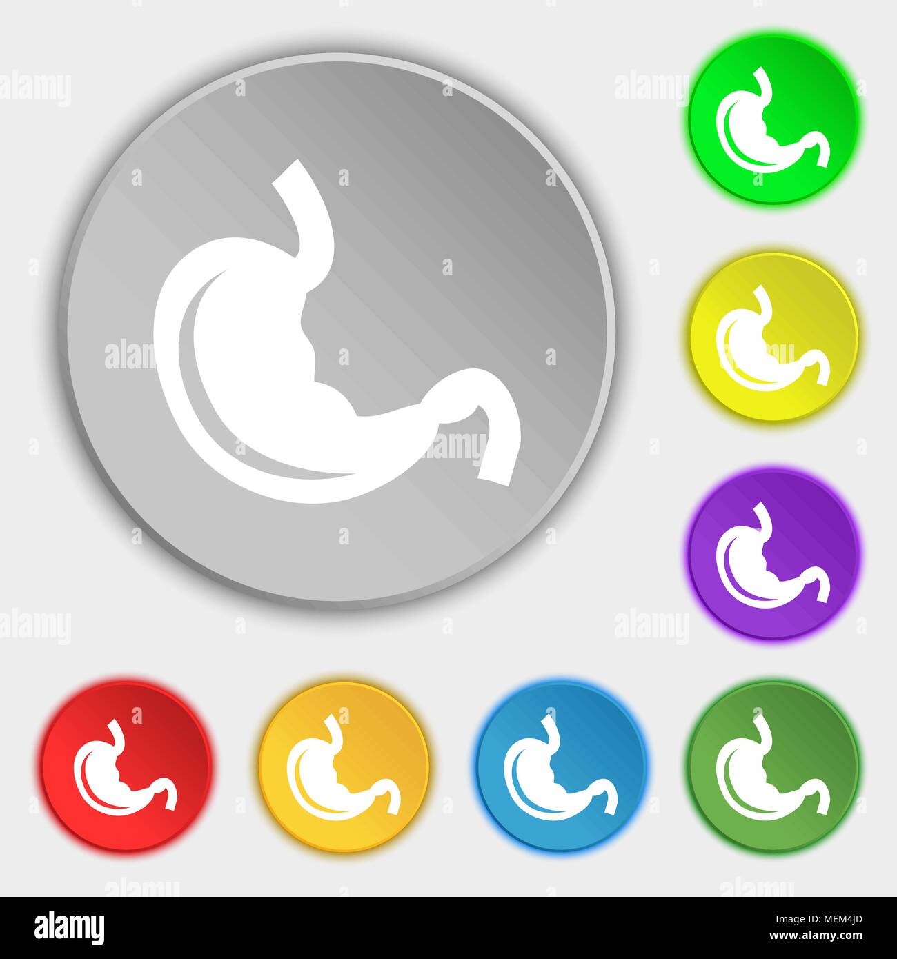Stomach icon sign. Symbol on eight flat buttons. Vector illustration ...