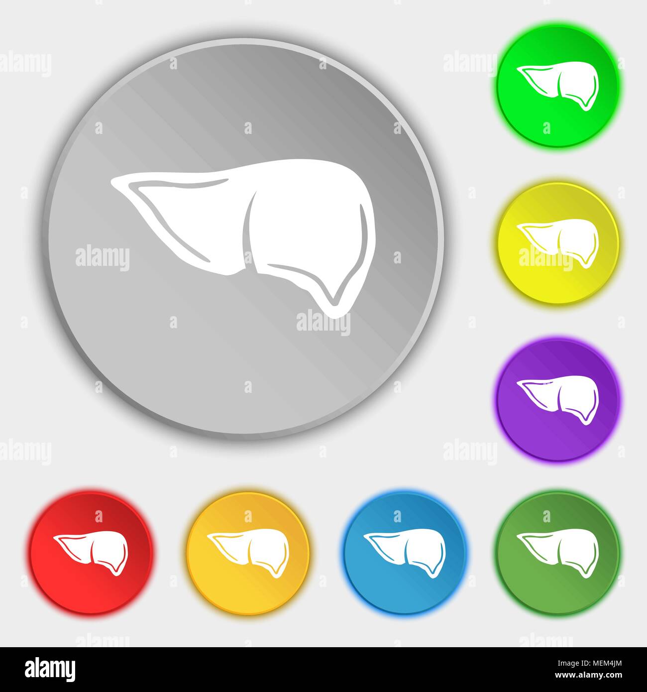 Liver icon sign. Symbol on eight flat buttons. Vector illustration ...