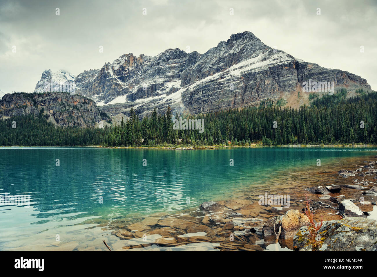 Lake O'hara, Yohu National Park, Canada Stock Photo - Alamy