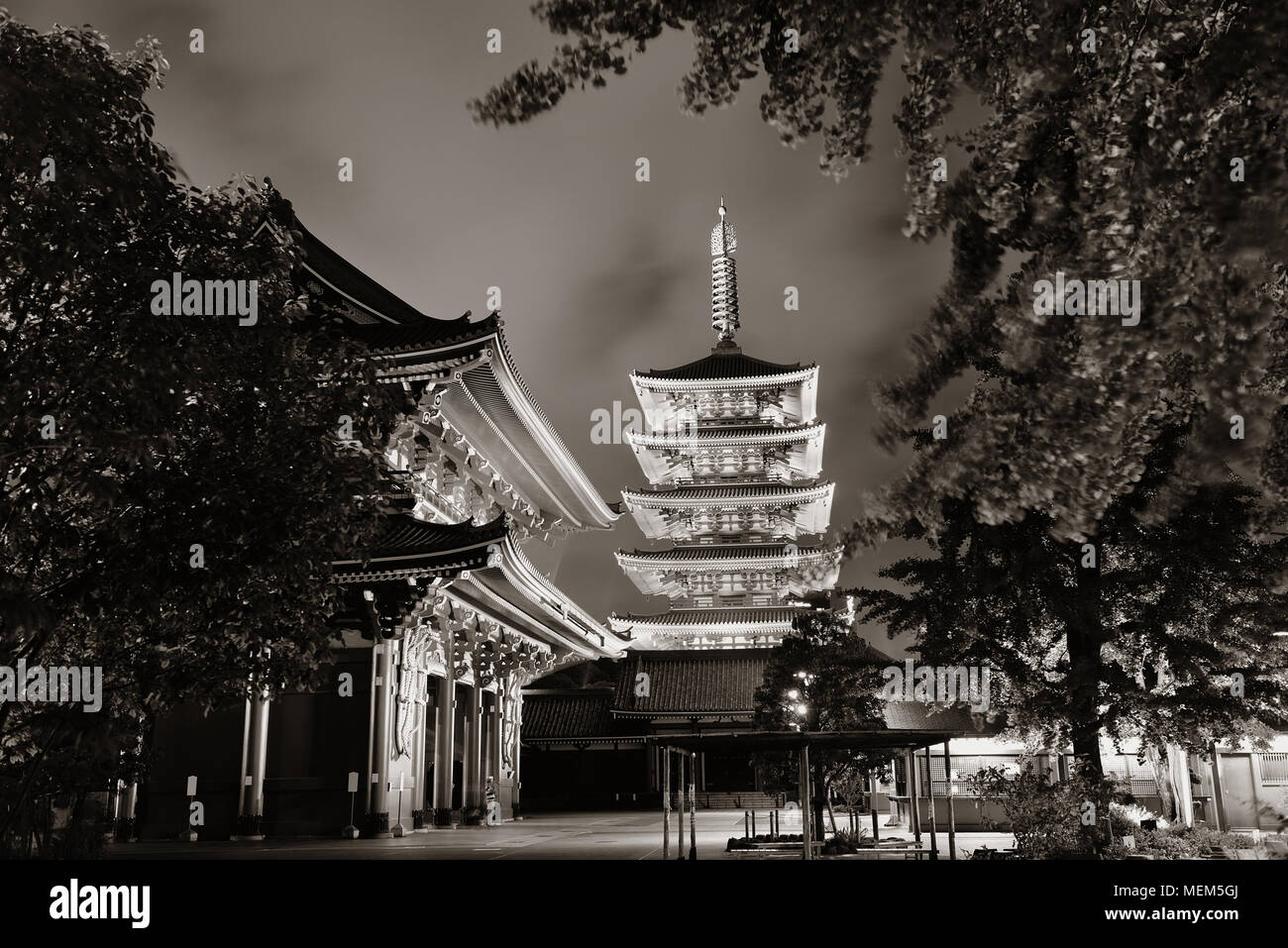 Sensoji Temple in Tokyo Japan at night Stock Photo - Alamy