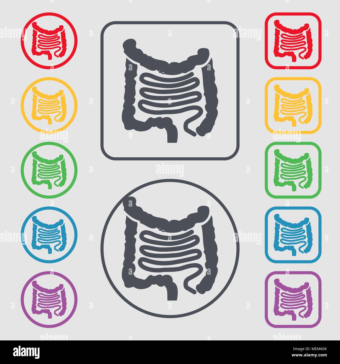 Intestines icon sign. symbol on the Round and square buttons with frame ...