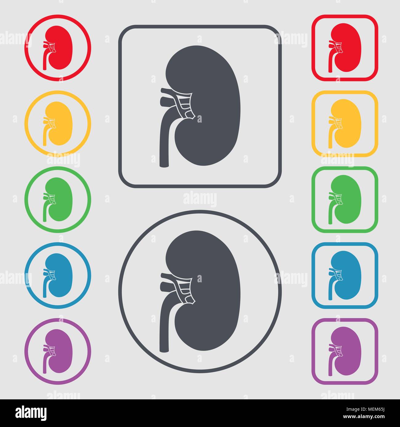 Kidney icon sign. symbol on the Round and square buttons with frame ...