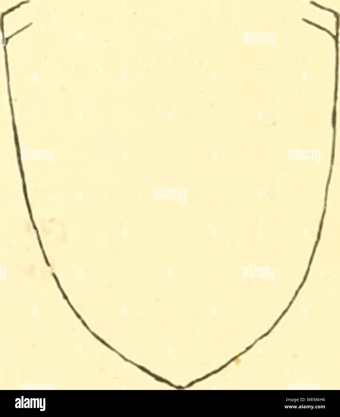 Idothea hi-res stock photography and images - Alamy