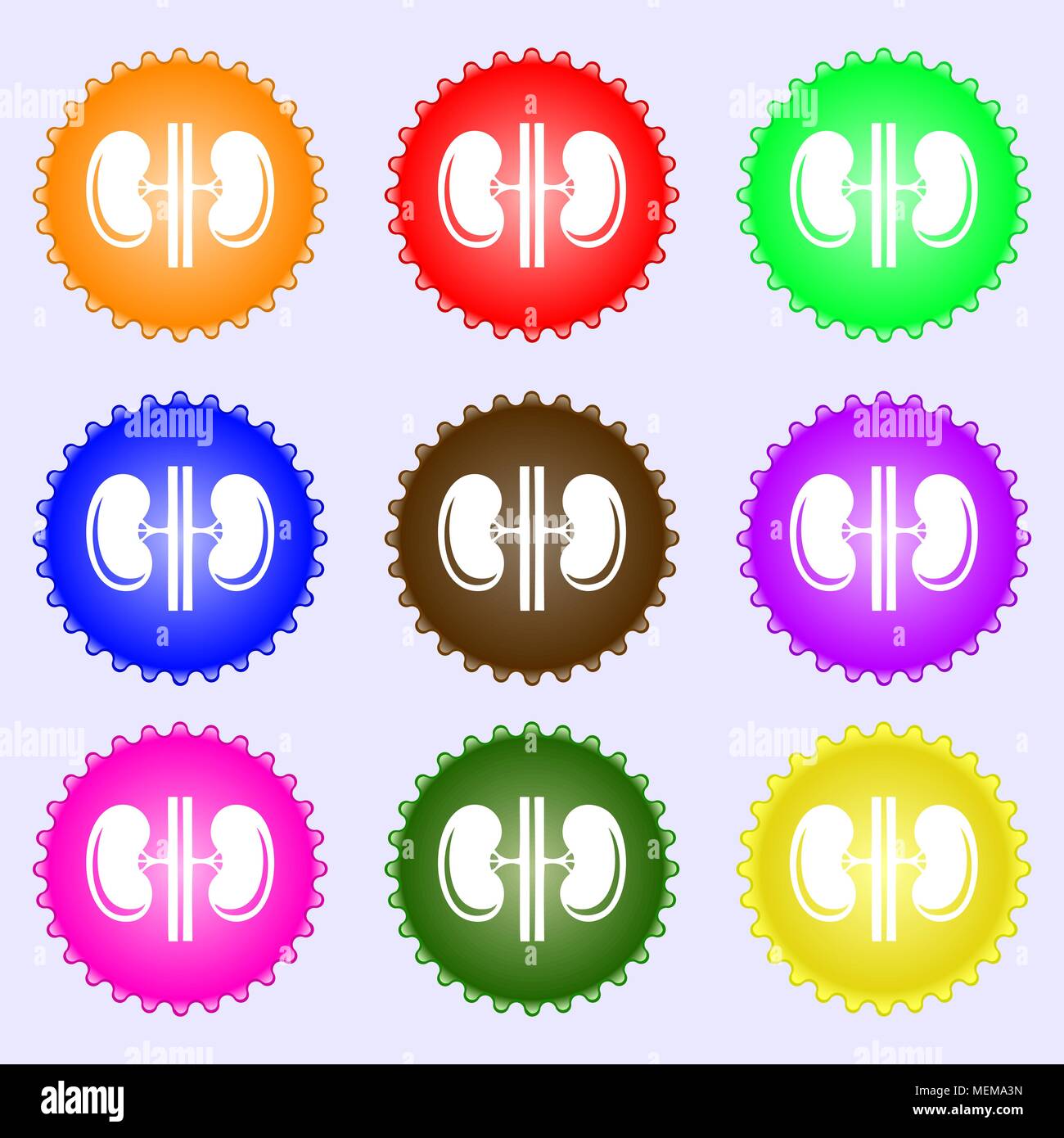 Kidneys icon sign. Big set of colorful, diverse, high-quality buttons ...