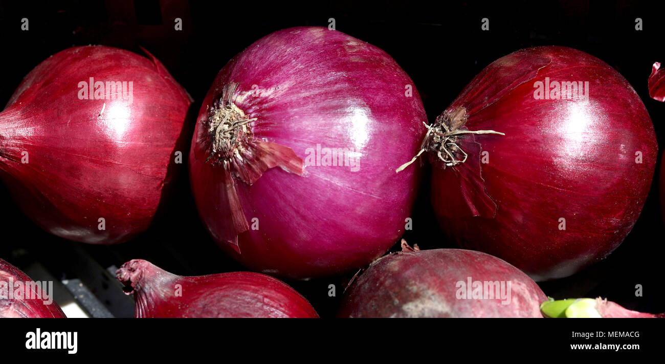Raw onion skins hi-res stock photography and images - Alamy