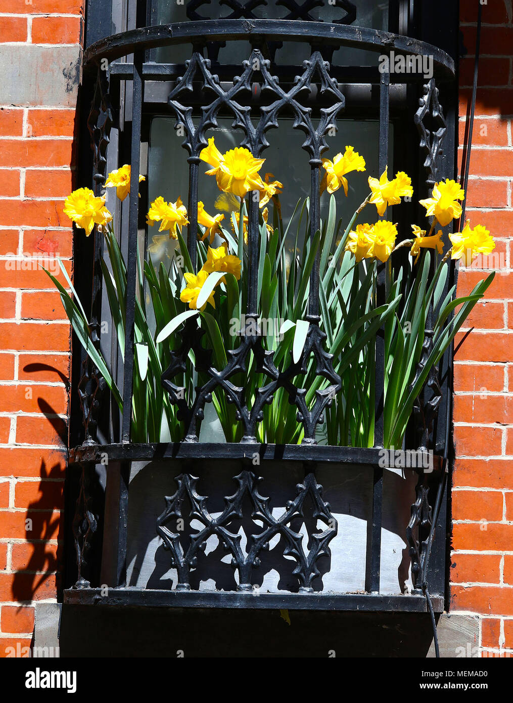 Yellow window sun hi-res stock photography and images - Alamy