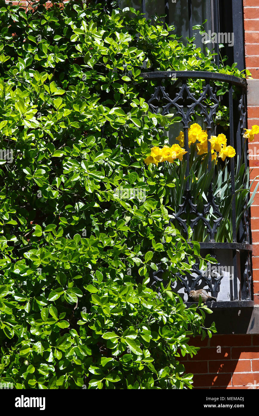 Green overgrown hi-res stock photography and images - Alamy