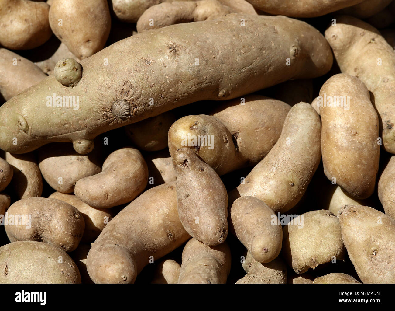 Fingerlings hi-res stock photography and images - Alamy