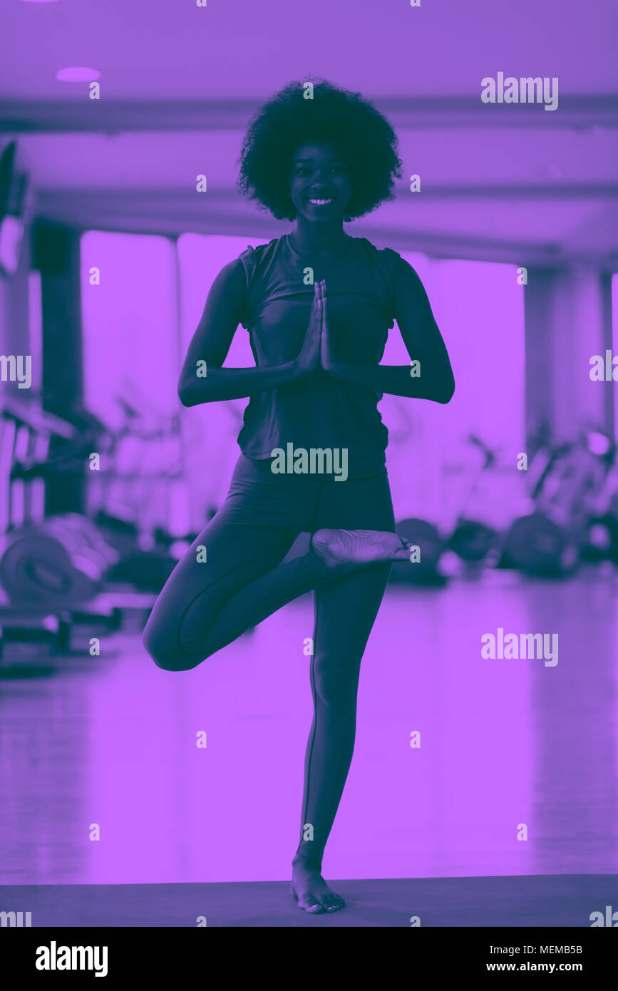 beautiful young african american woman exercise yoga in gym duo tone ...