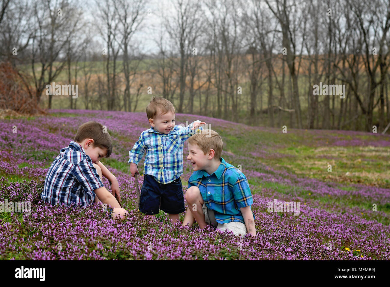 Three brothers together portrait Stock Photo - Alamy