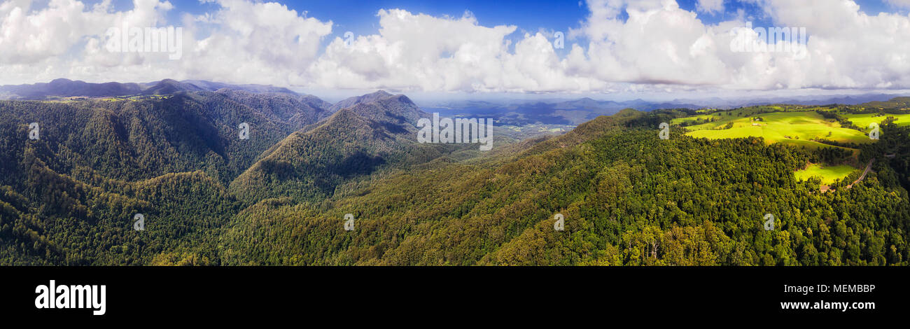 Dorrigo rainforest road hi-res stock photography and images - Alamy