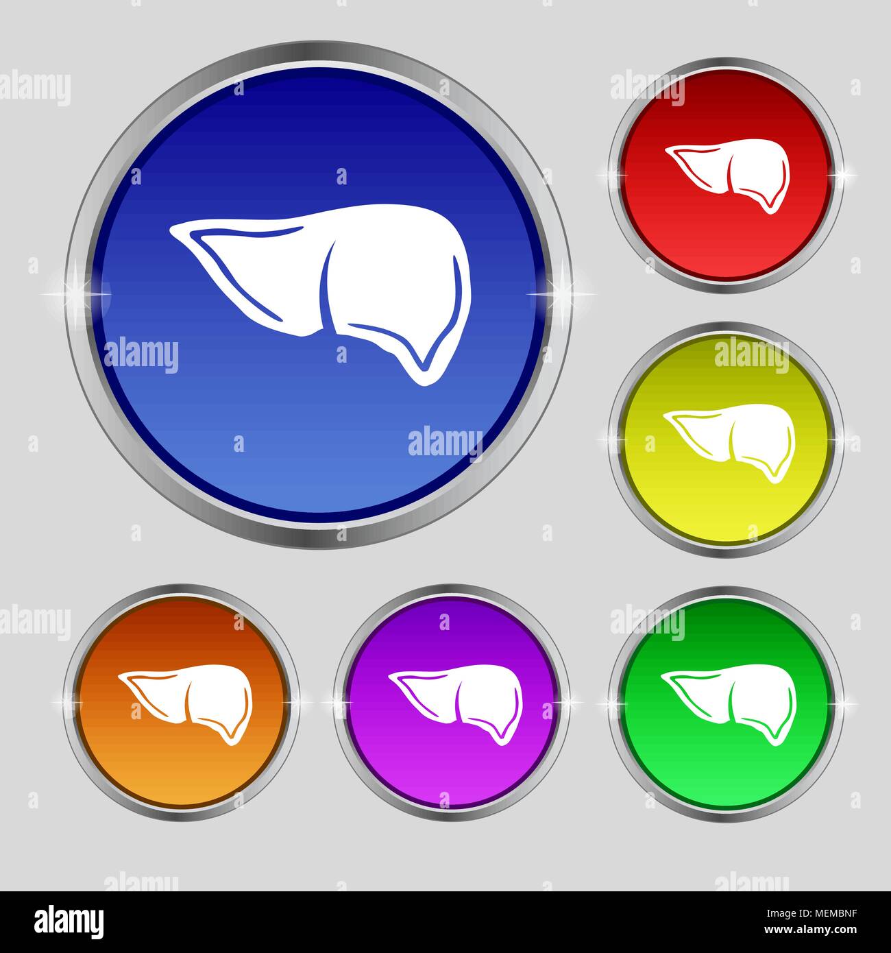 Liver icon sign. Round symbol on bright colourful buttons. Vector ...