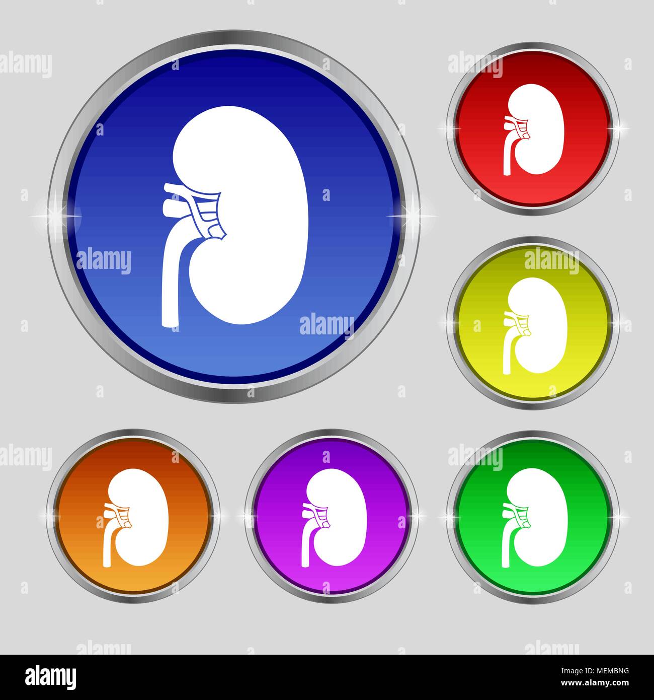 Kidney icon sign. Round symbol on bright colourful buttons. Vector ...