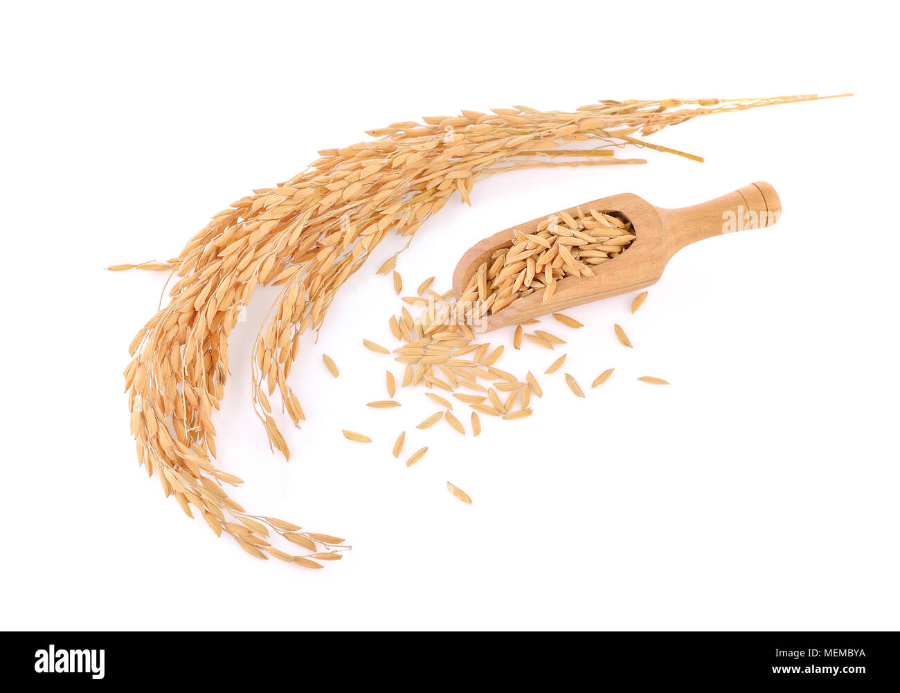 rice grains isolated on white background Stock Photo - Alamy