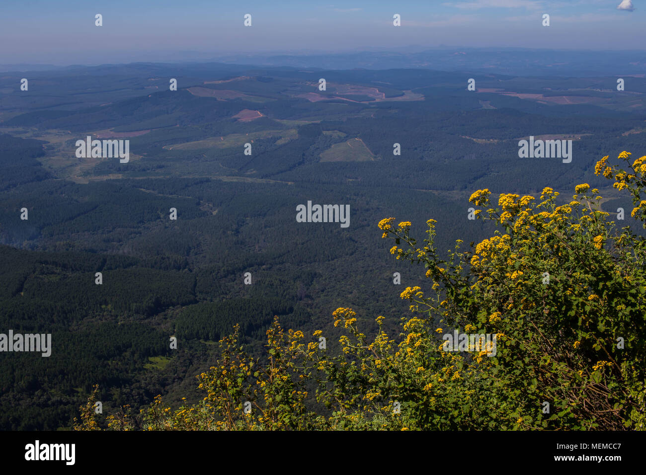 Blyde river canyon road hi-res stock photography and images - Alamy