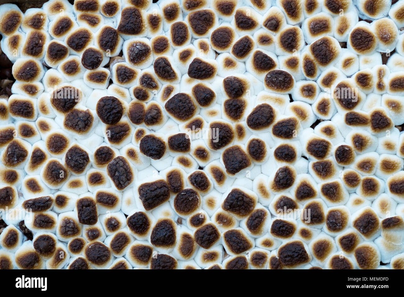 Roasted mini marshmallows sitting on top of a pan of oven baked smores ...