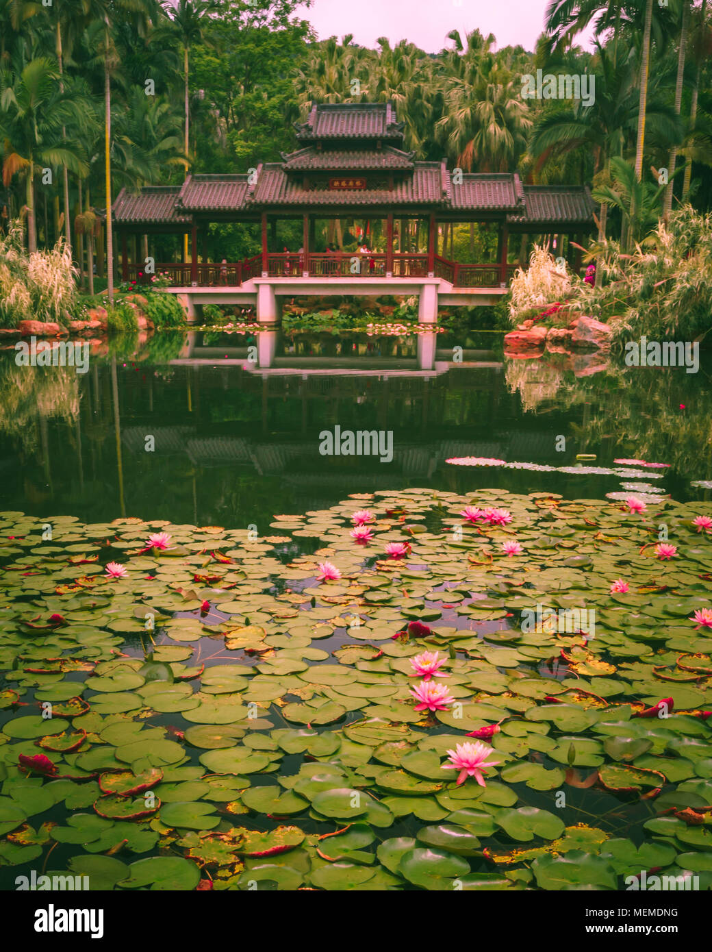 Beautiful park / botanical gardens in China Stock Photo - Alamy