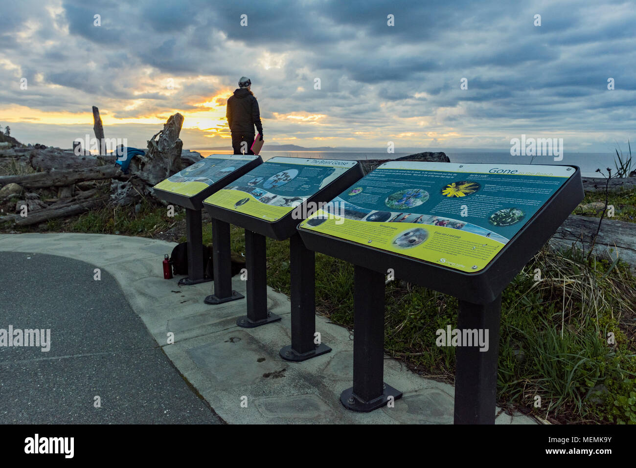 Goose Spit Park, Comox, British Columbia, Canada Stock Photo - Alamy