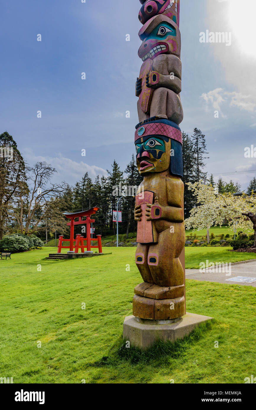 Japanese sequoia hi-res stock photography and images - Alamy