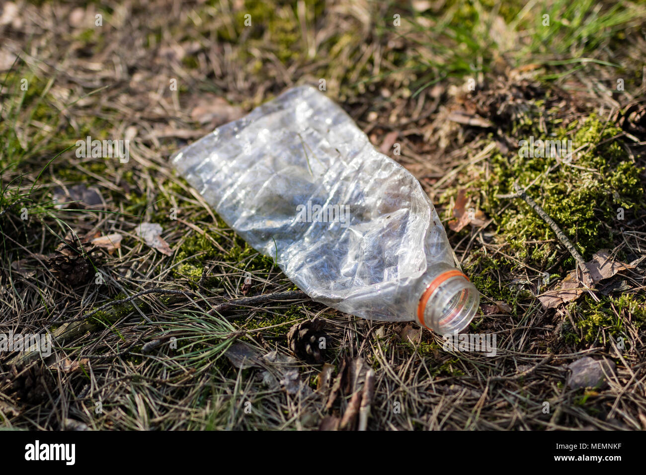 Garbage left in the forest. Plastic bottles littering forest areas and ...