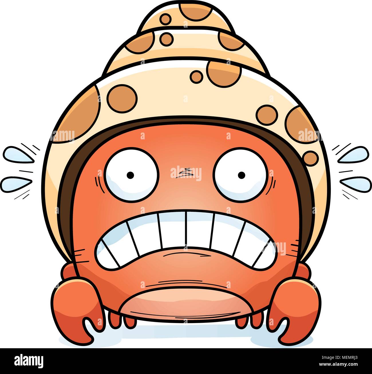 A cartoon illustration of a hermit crab looking scared Stock Vector ...