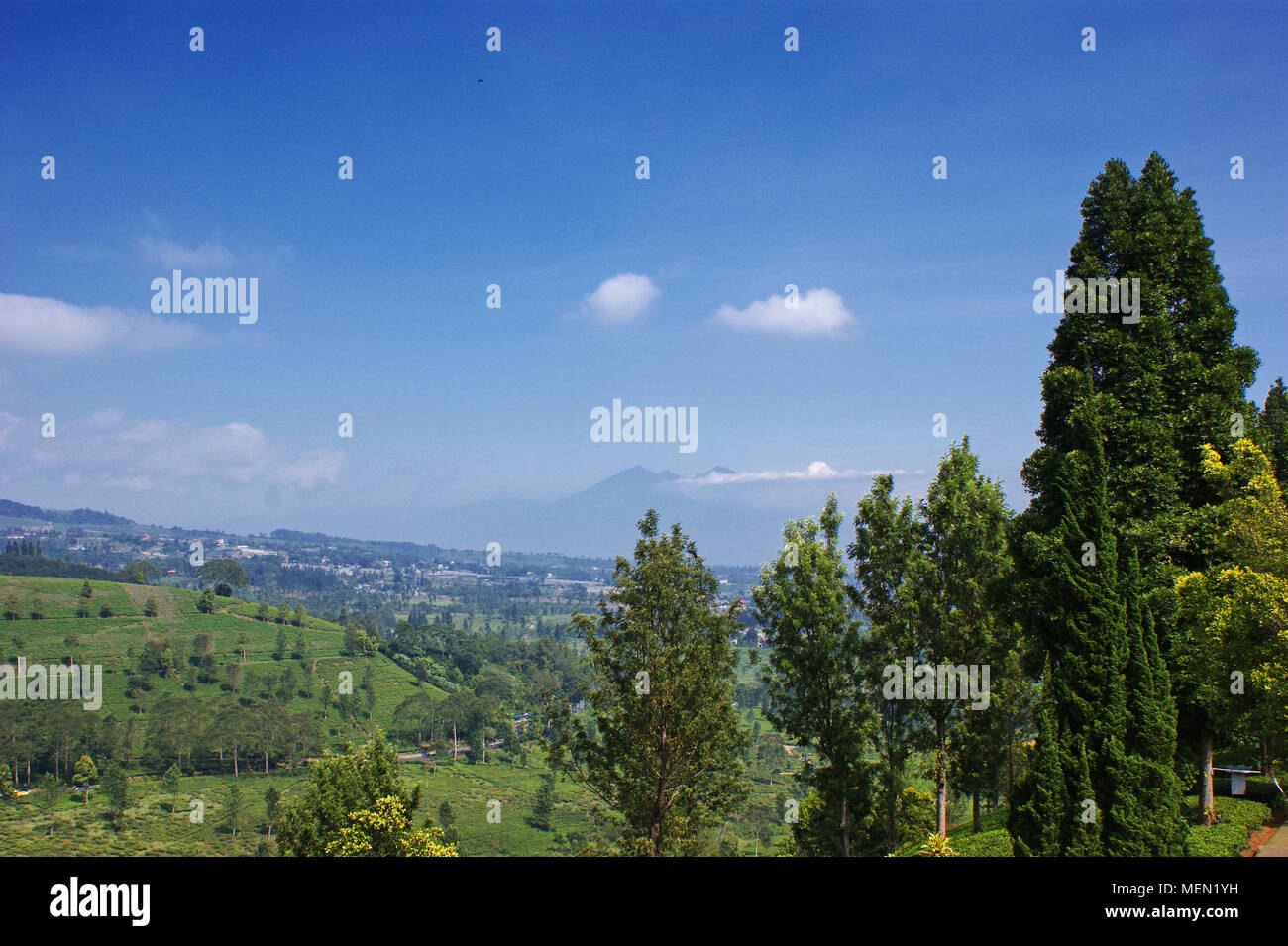 Cisarua hi-res stock photography and images - Alamy
