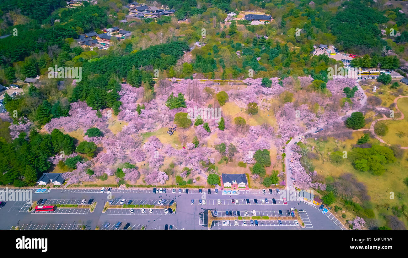 Gyeongju culture expo park hi-res stock photography and images - Alamy