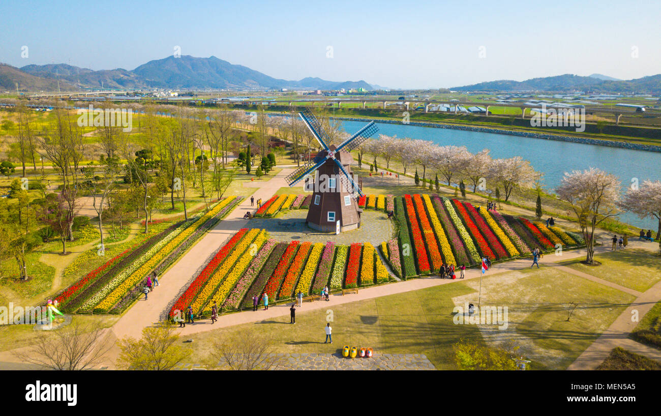 Suncheonman bay hi-res stock photography and images - Alamy