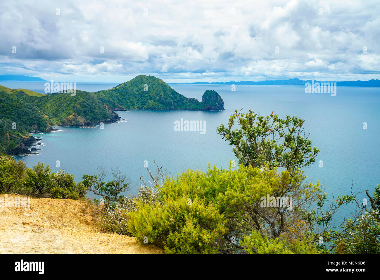 Hiking the Coromandel Coastal Walkway. Rainforest and a steep coast ...