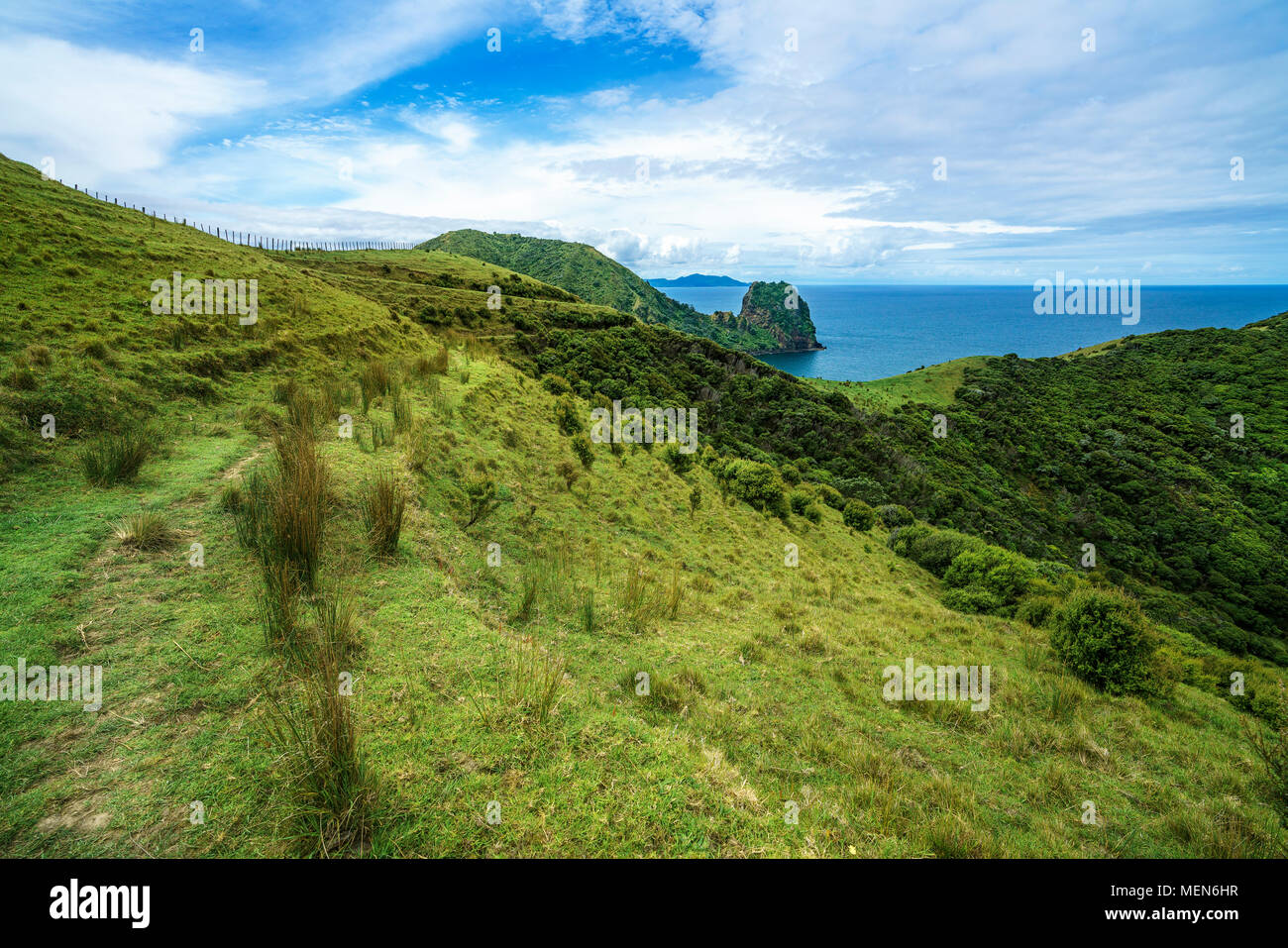 Coromandel Walkway New Zealand High Resolution Stock Photography and ...