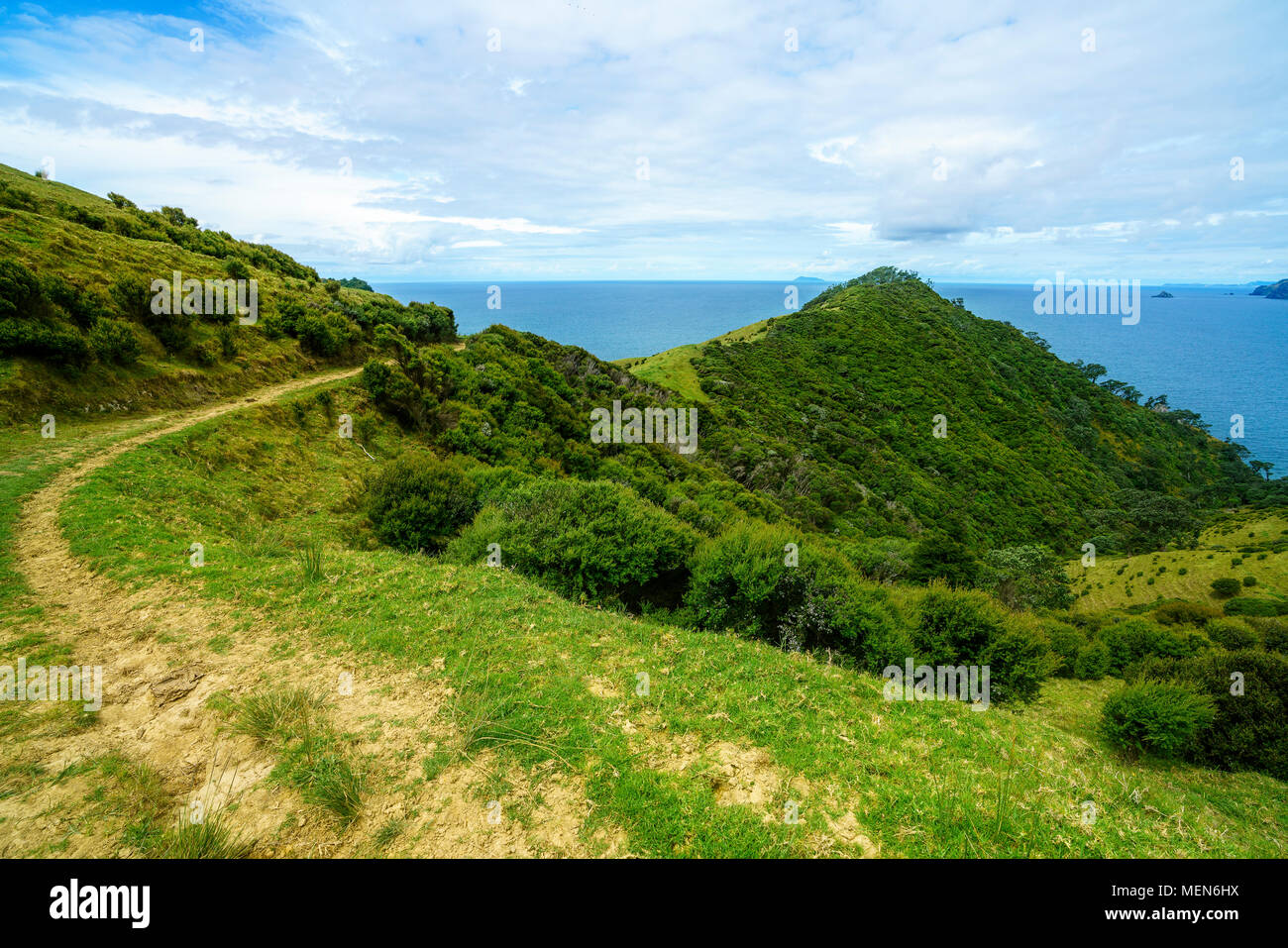 Hiking the Coromandel Coastal Walkway. Rainforest and a steep coast ...