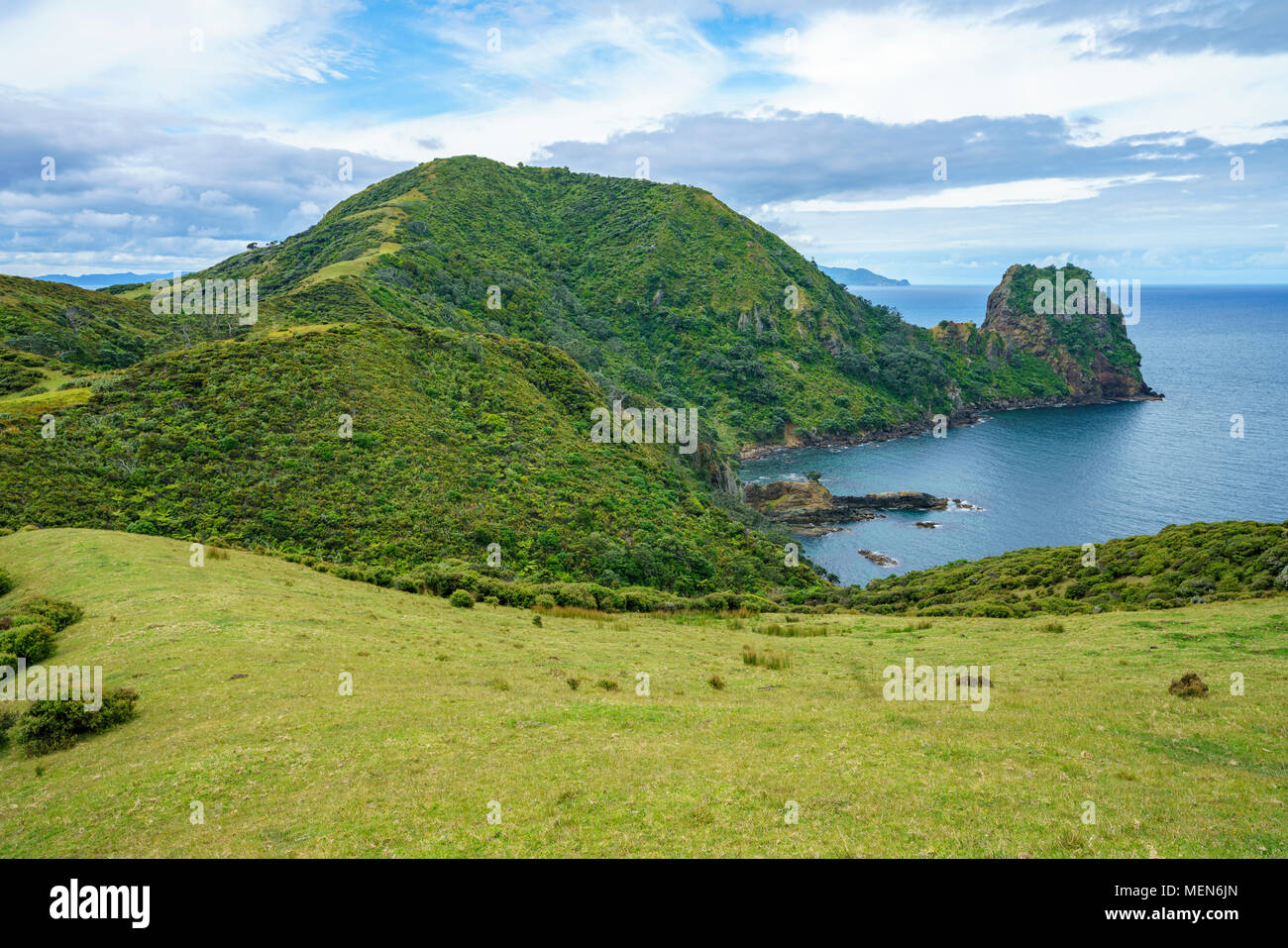 Coromandel walkway new zealand hi-res stock photography and images - Alamy